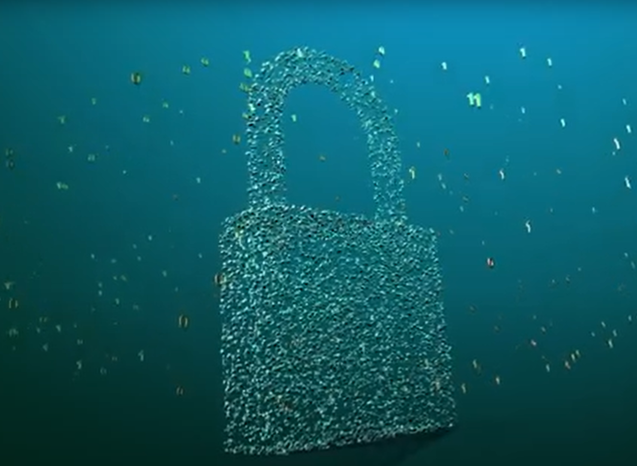 Protecting People in the Digital World: Addressing the negative effects ...